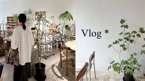 Vlog 고효 비도 오고 그래서 그냥 걸었어🫧 얼바닉30 Solene 슬리퍼 언박싱🌹 꼼데가르송 단톤 에토스 바티스트 네이비카운티 Ootd 🪞