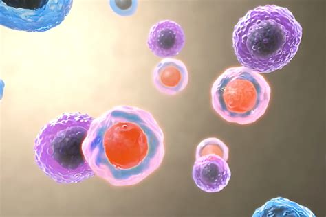 Sflo全光谱流式应用方案：人外周血t淋巴细胞精细分型（14色方案） 杭州谱康医学科技有限公司