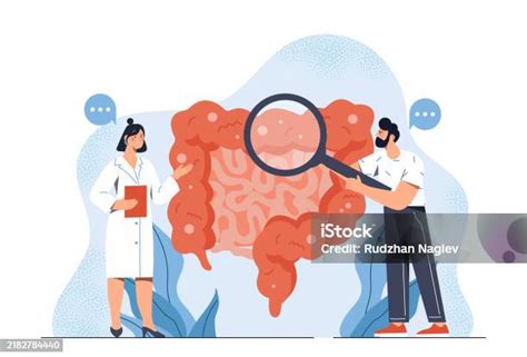 장내 세균총을 검사합니다 여자와 남자가 돋보기를 들고 창자와 위를 살핀다 건강 관리 및 의학 진단 및 치료 평면 벡터 일러스트