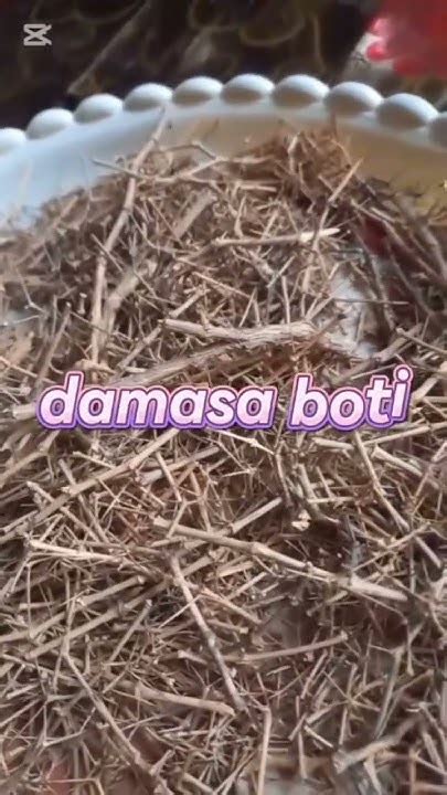 New Health Tips K Sath Damasa Boti🤫🤫🤫🤫🤫☺️☺️☺️☺️foryou