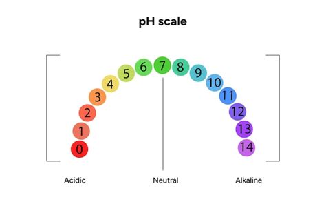 Ph 스케일 인포그래픽 프리미엄 벡터