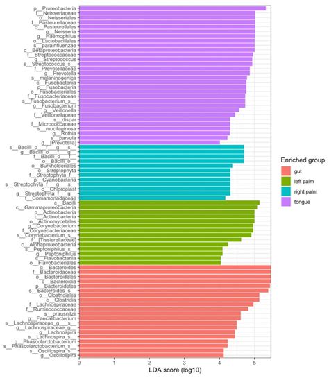 Microbiome 16s Rrna Data Analysis R Code And Pdf Bundle Phyloseq Analysis 16s Data Analysis