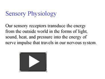 Sensory Physiology Presentation Free To View