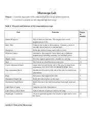 Bio Microscope Lab SP Docx Microscope Lab Purpose Learn The Major Parts Of The