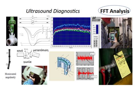 Ultrasound Analysis Adamsnet Hydra