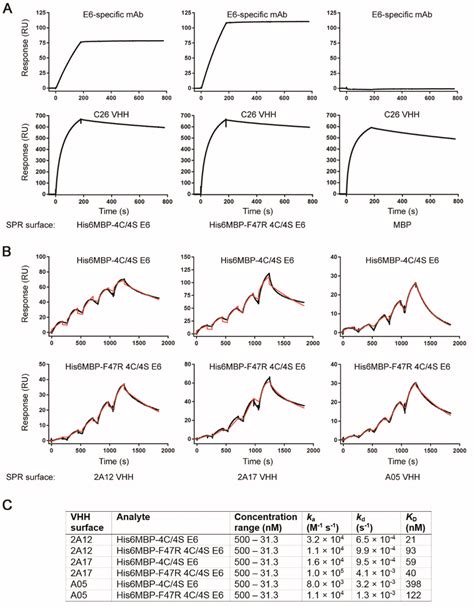 Surface Plasmon Resonance Spr Binding Assays Demonstrating The