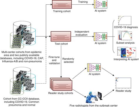 Workflows Of The Whole Study And Ai System A Workflow Of The Whole Download Scientific Diagram