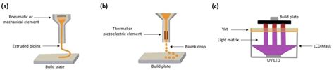 Bioprinting Techniques A Extrusion Based Bioprinting B Jet Download Scientific Diagram