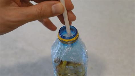 페트병에 바나나를 넣으면 여름철 골칫거리가 쉽게 없어집니다