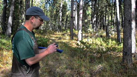 Coordinating A Response To Pine Beetle Devastation Agterra Technologies