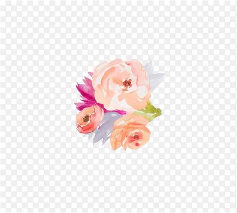 粉色梦幻杜鹃花PNG图片素材下载 图片编号qkpdgmoj 免抠素材网
