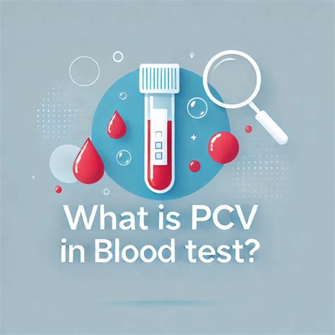 What Is Pcv In Blood Test A Complete Guide