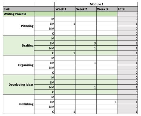 Codebook Sample For Skills And Type Of Instruction Identified Across