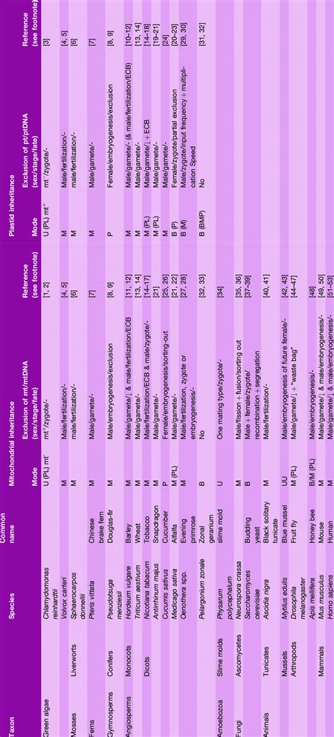 Inheritance Of Mitochondria And Plastids In Different Eukaryotic Taxa Download Table