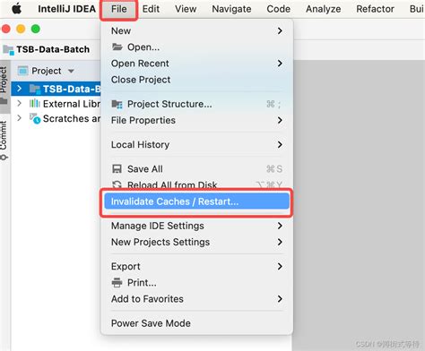 Idea项目代码标红，但可以正常编译运行代码飘红 Csdn博客