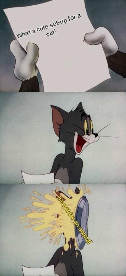 Funny Meme On Tumblr