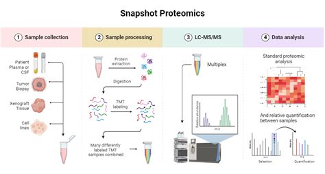 Snapshot Proteomics Biorender Science Templates