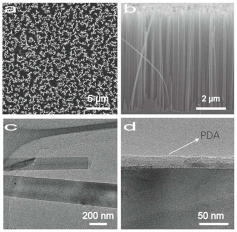 Photoelectric Immunosensor Based On Silicon Nanowire Array Polydopamine Composite Structure And