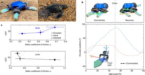 Crawling On Transition Substrates A Crawling Distributes Arts Weight