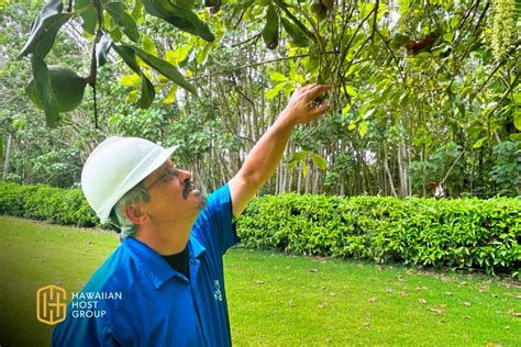 Hhg Spotlight Luke Octavio Operations Manager In Kea‘au