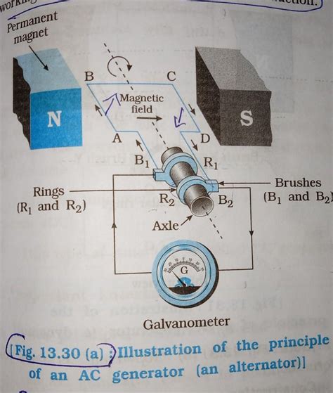 Draw A Neat Labelled Diagram Of An Ac Generator Knowledgeboat Images