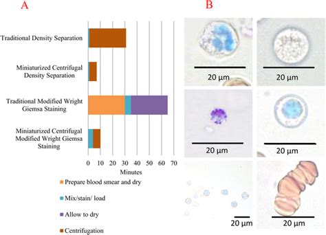 Wright Giemsa Staining Plos One
