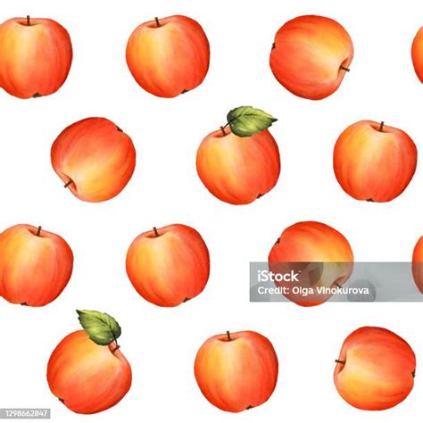 빨간 사과의 원활한 수채화 패턴 흰색 배경에 격리 추수 감사절과 수확일 스크랩북을 위한 음식 일러스트레이션 손 페인트 가리기에