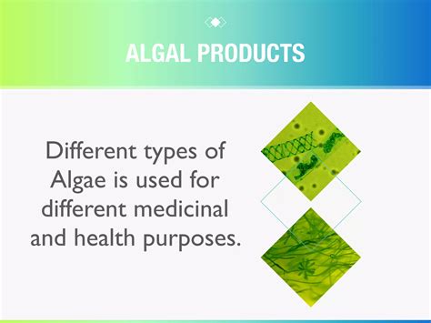 Algae Products And Their Medical Applications Pdf