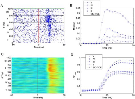 Coding For Stimulus Occurrence Spike And Lfp Responsiveness A Raster