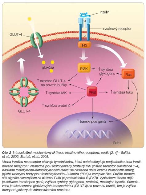 Inzulin Glulisin Remedia