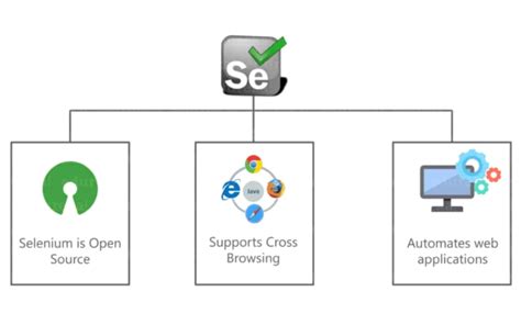 selenium guide complet du framework de test automatisé