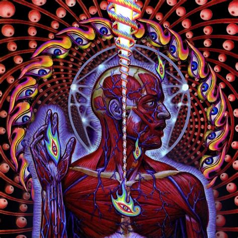 Tool Band Fan Art At Dianne Lindsay Blog