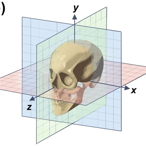 Cartesian 3d Coordinate System Used As A Framework For Describing Download Scientific Diagram