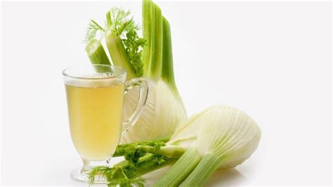 Té De Hinojo Contraindicaciones Beneficios Y Usos
