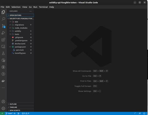 Ultimate Guide To Create Solana Spl Fungible Token Program In Solidity With Solang And Anchor