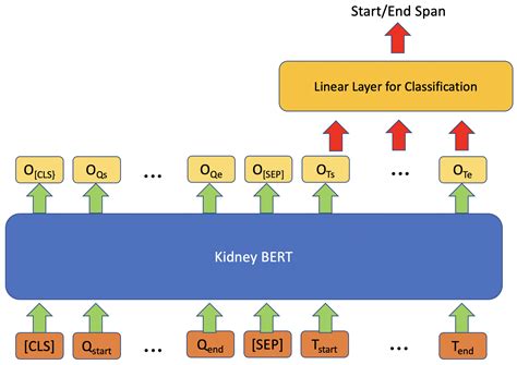 Fine Tuning Bert For Text Classification In Pytorch By Luv Bansal