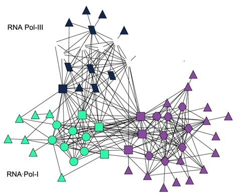 Example Hierarchical Communities In Ppi Network The Three Colors