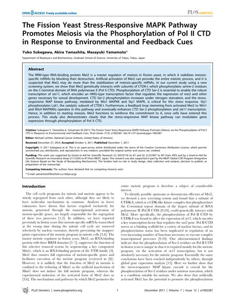 Pdf The Fission Yeast Stress Responsive Mapk Pathway Promotes Meiosis