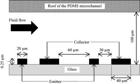 Schematic Of The Cross Section Of The Pump With Key Dimensions Not To