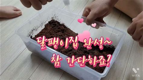 달팽이 집만들기 Youtube