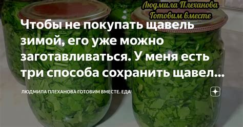 Чтобы не покупать щавель зимой его уже можно заготавливаться У меня есть три способа сохранить