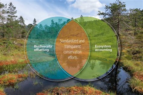 Connecting Ecosystem Accounting And Biodiversity Offsetting A Path To Standardized And