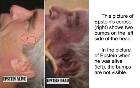 The Aquarian Agrarian If Jeffrey Epstein Didnt Kill Himself Then Isn