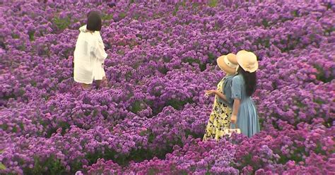 꽃과 별 즐기는 가을 추억 여행북적북적