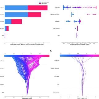 SHAP Plots Of The XGBoost Model A The Classified Bar Charts Of The Download Scientific