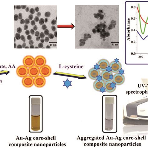 Schematic Procedure For L Cysteine Determination By Au Ag Core Shell Download Scientific