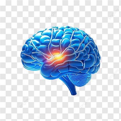 Blue Brain With Glowing Neurons Brain Blue Neuroscience Png