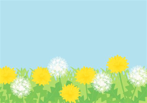 タンポポ蒲公英の花かわいいフリーイラスト素材集