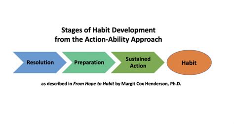 Stages Of Habit Development Margit Cox Henderson Phd